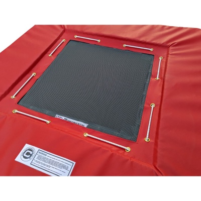 Model 55 Standard Trampette | theClassroom.co