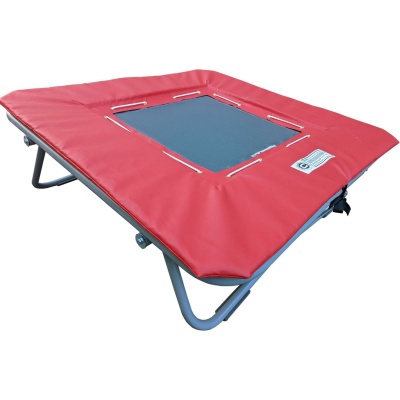 Model 55 Standard Trampette | theClassroom.co