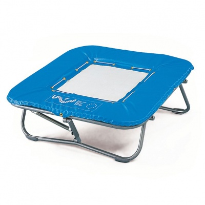 School Gym Standard Mini Tramp | theClassroom.co