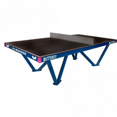 Butterfly Starter Table Tennis Table | theClassroom.co