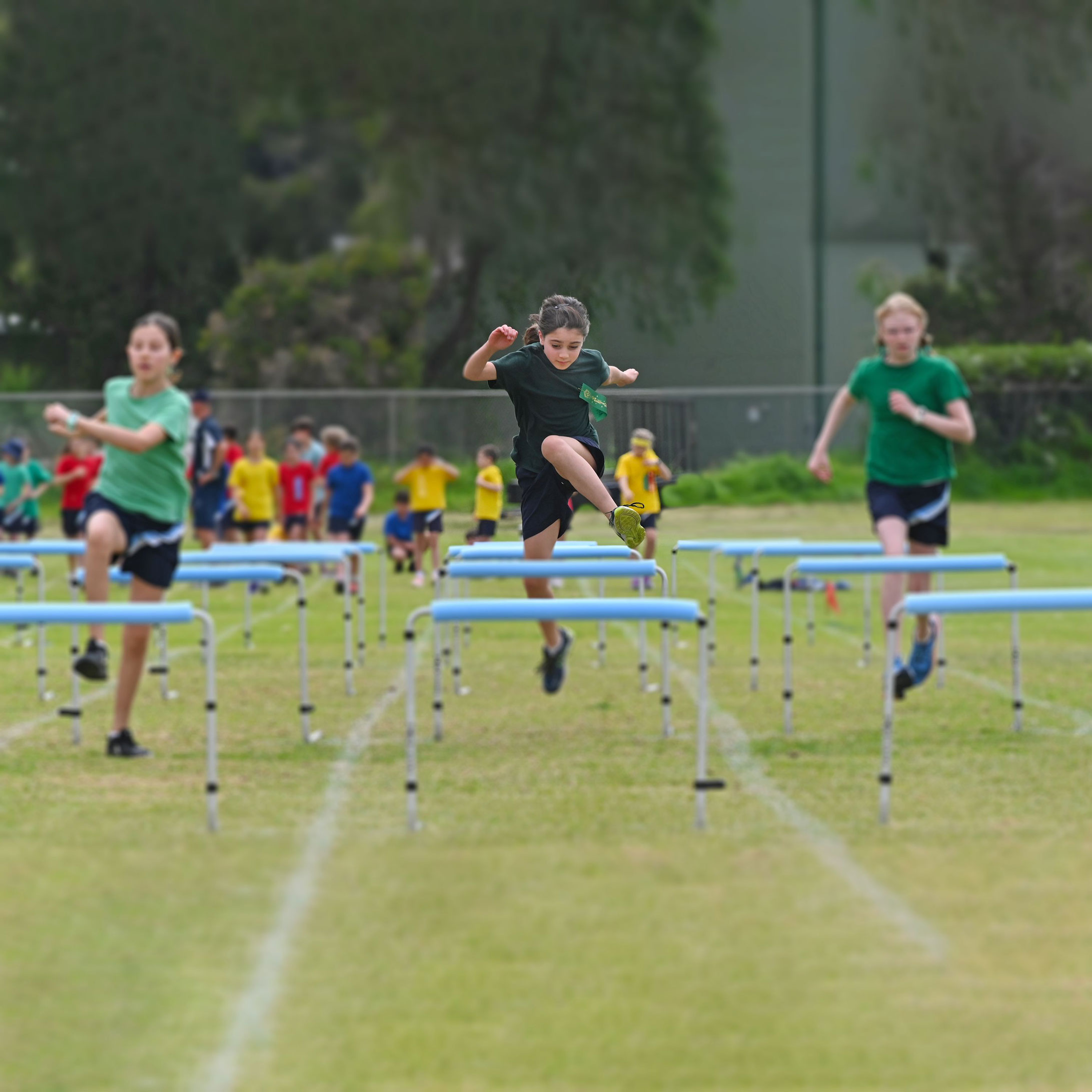 Aluminium Self Return Hurdle Maxi | theClassroom.co