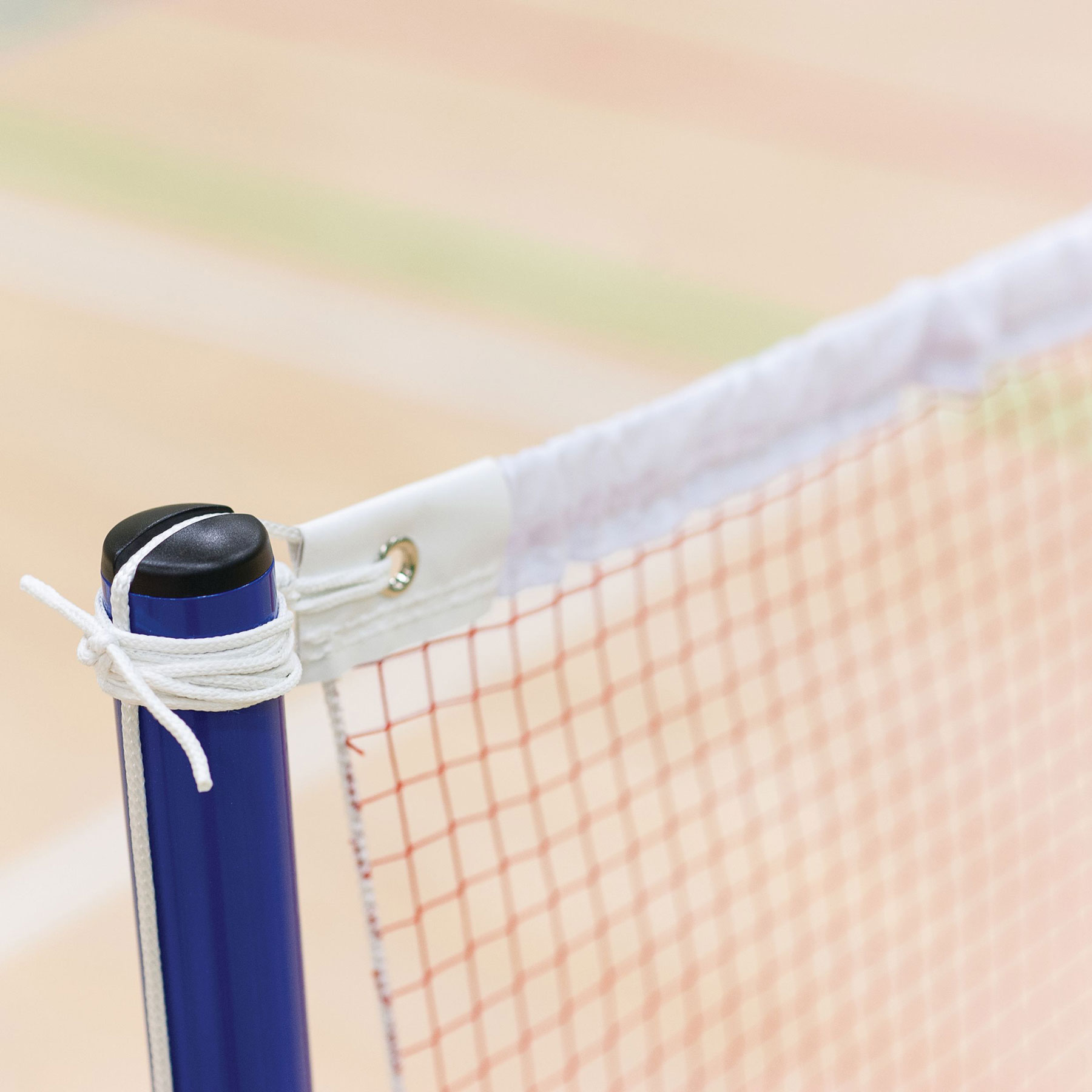 Wheelaway School Training Posts - Pair