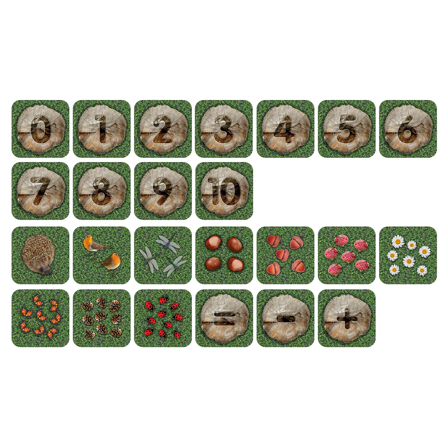 Natural World Counting Mini Carpets Indoor / Outdoor