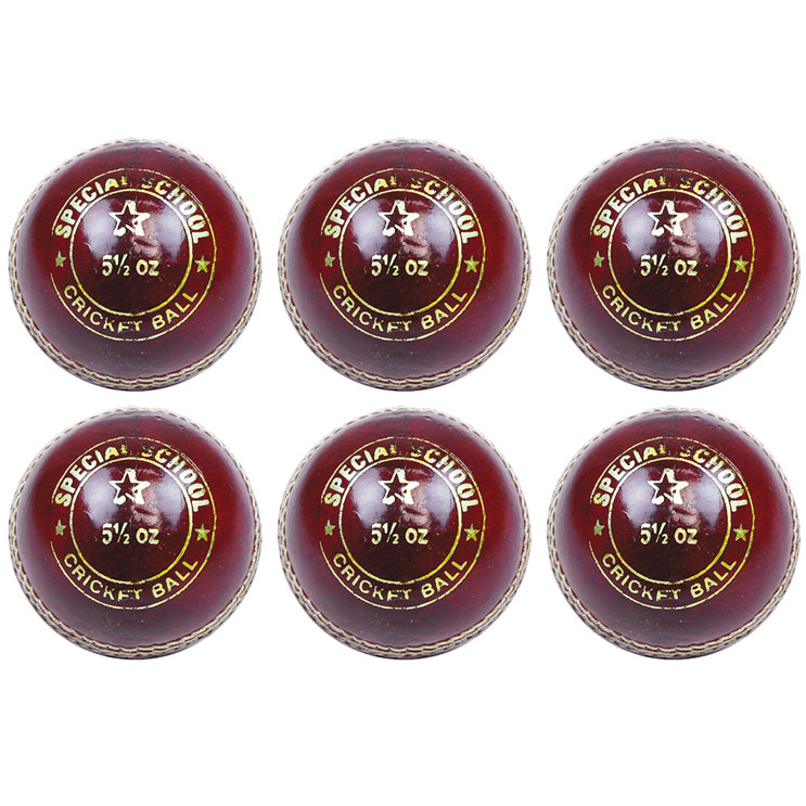 Mastersport Special School Cricket Ball | theClassroom.co
