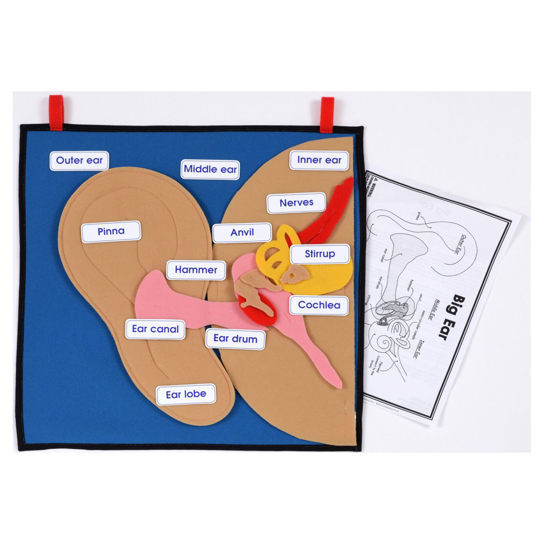 Big Ear | theClassroom.co