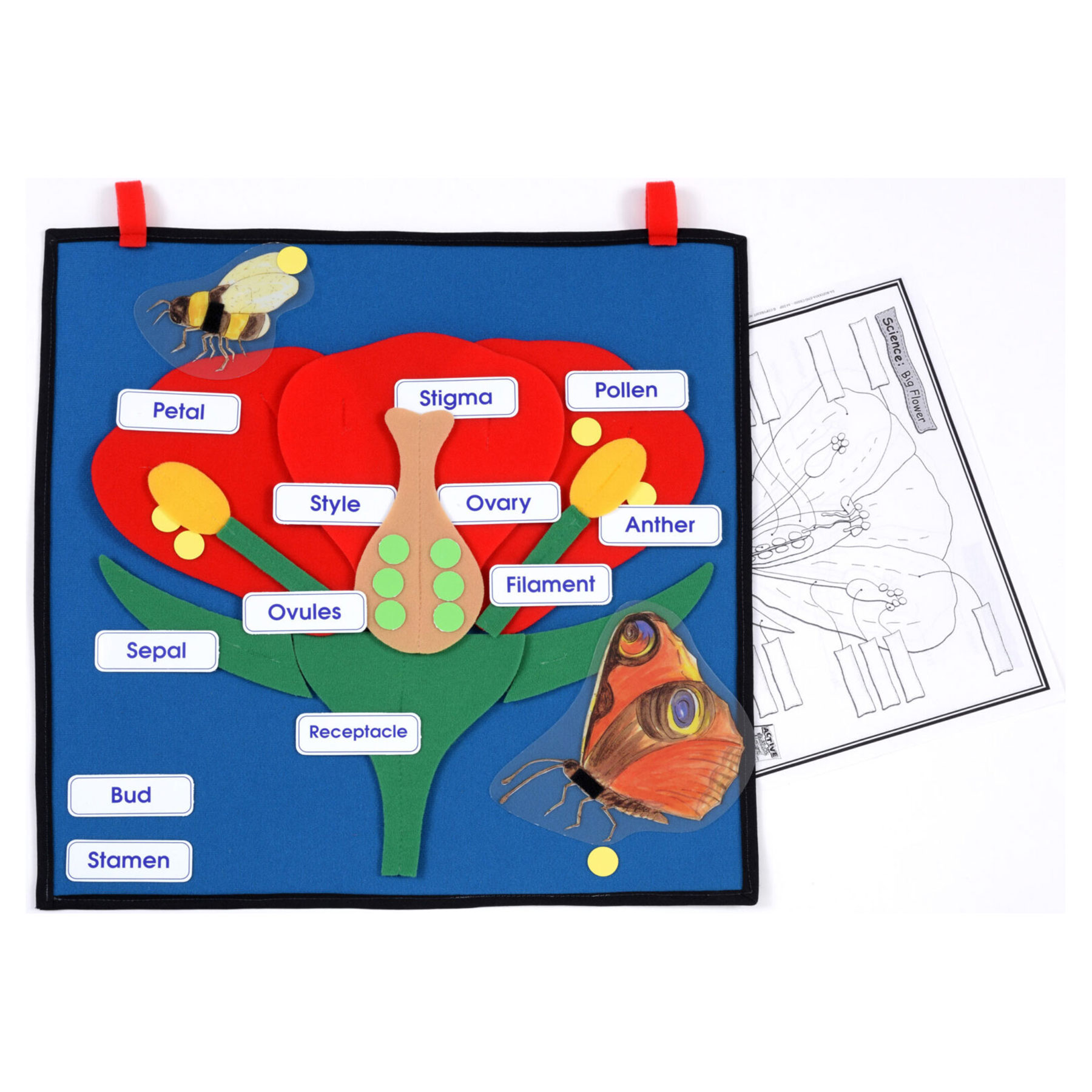 Big Flower | theClassroom.co