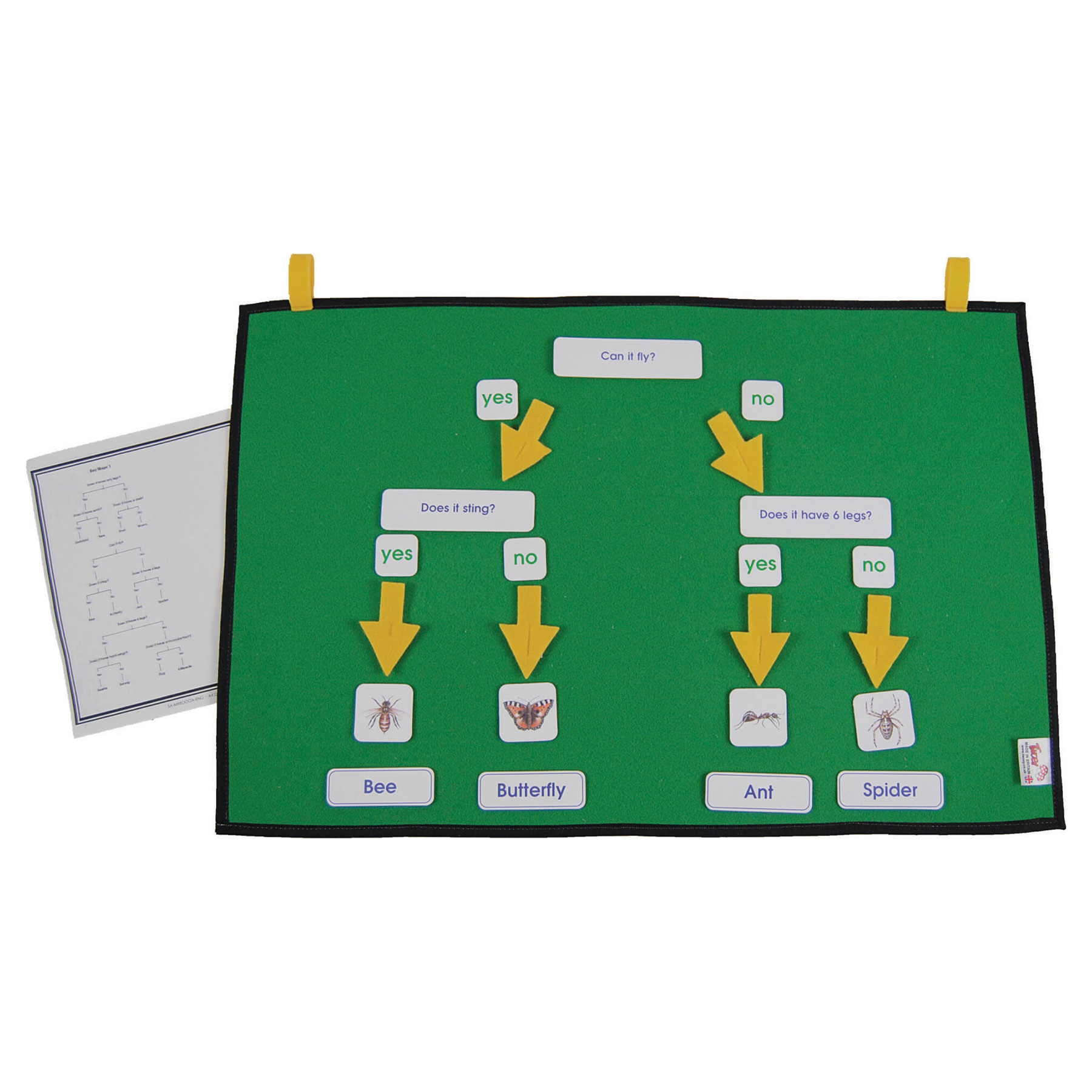 Minibeasts ID | theClassroom.co