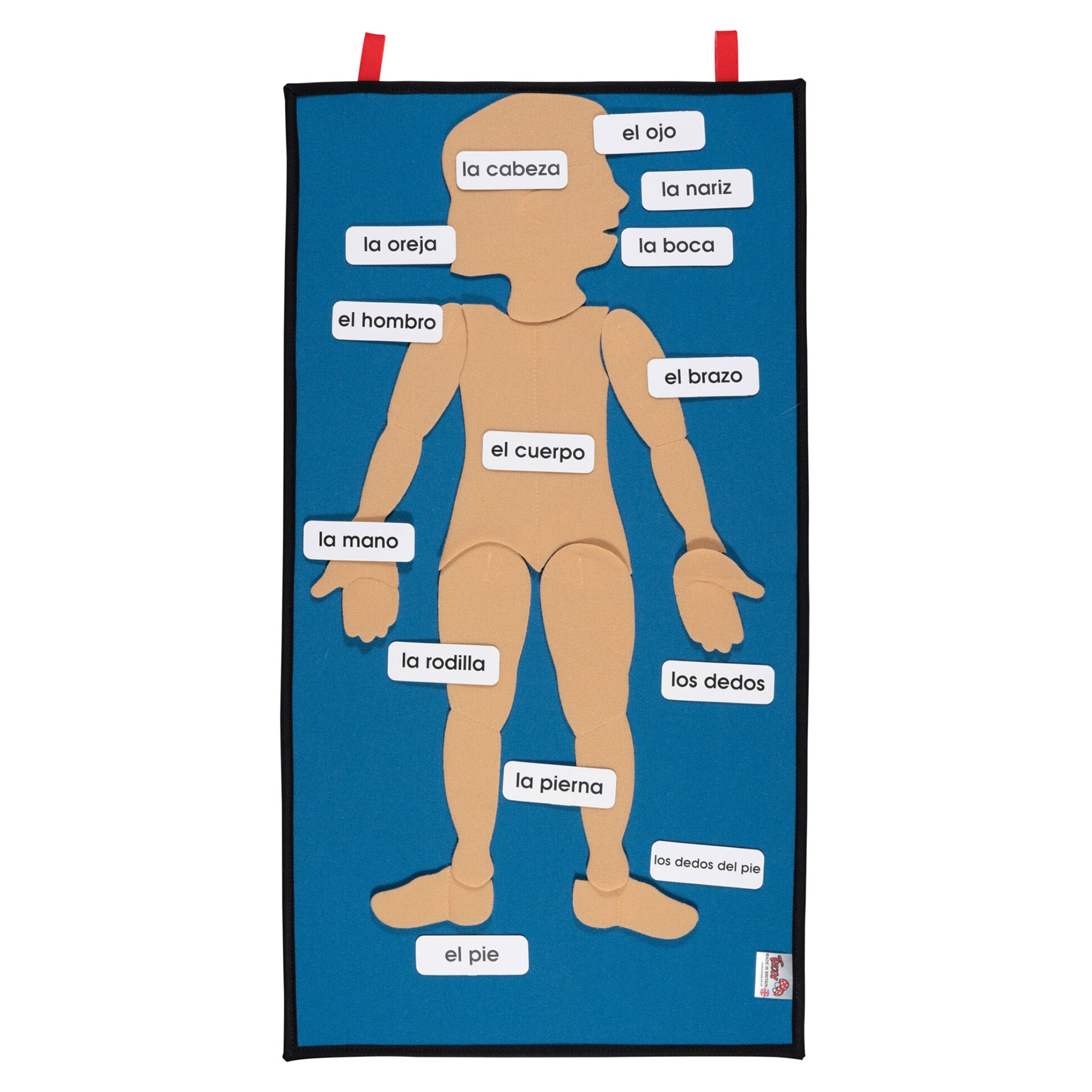 My Body - Spanish | theClassroom.co