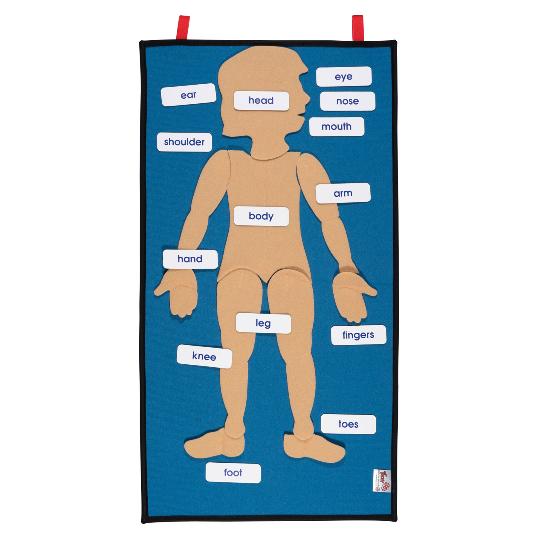 My Body | theClassroom.co