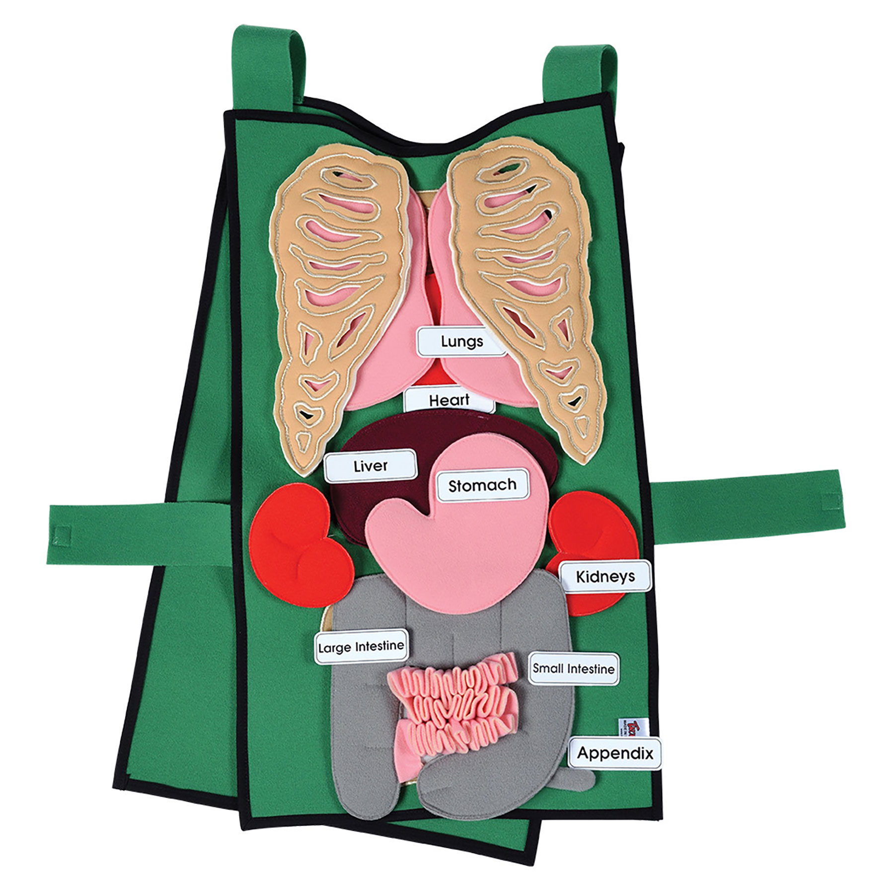 Organ Tunic & Organ Set - Arabic | theClassroom.co