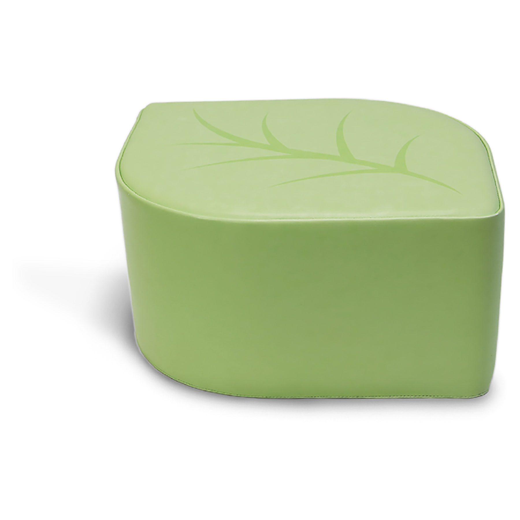 Natural World™ Leaf | theClassroom.co
