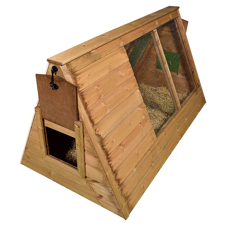 Animal Arc Small Pet Run | theClassroom.co