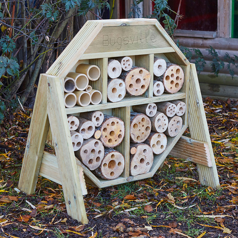 Bugsville Hive | theClassroom.co