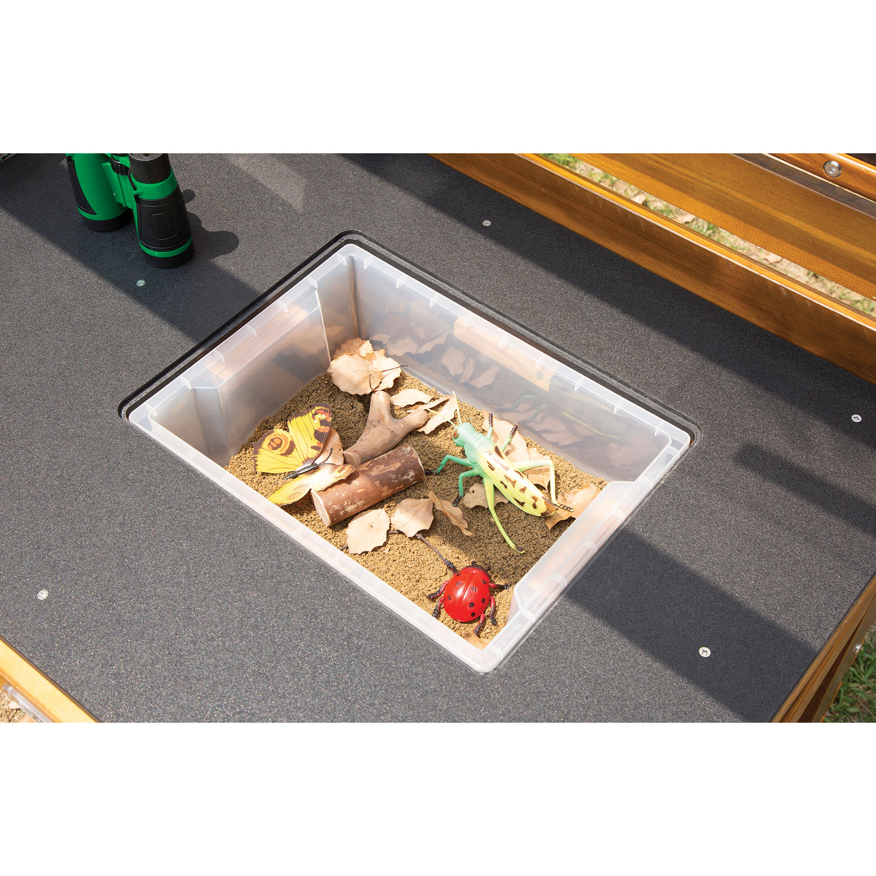 Children's Exploring Observation Table | theClassroom.co