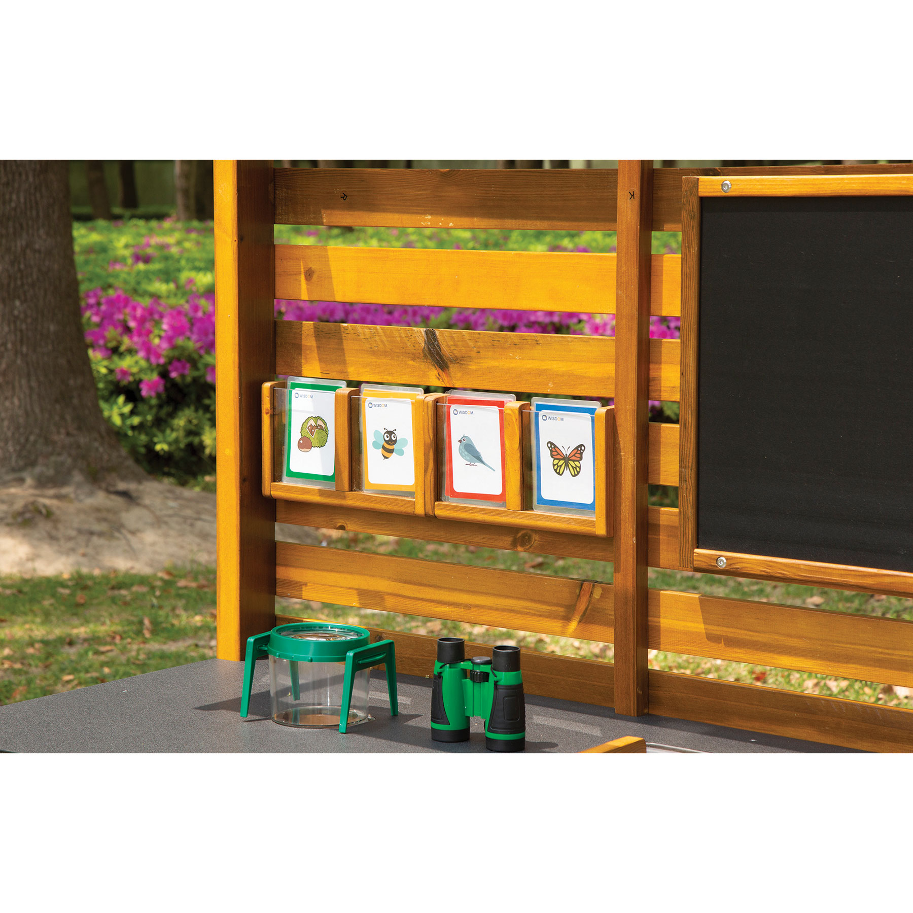 Children's Exploring Observation Table | theClassroom.co