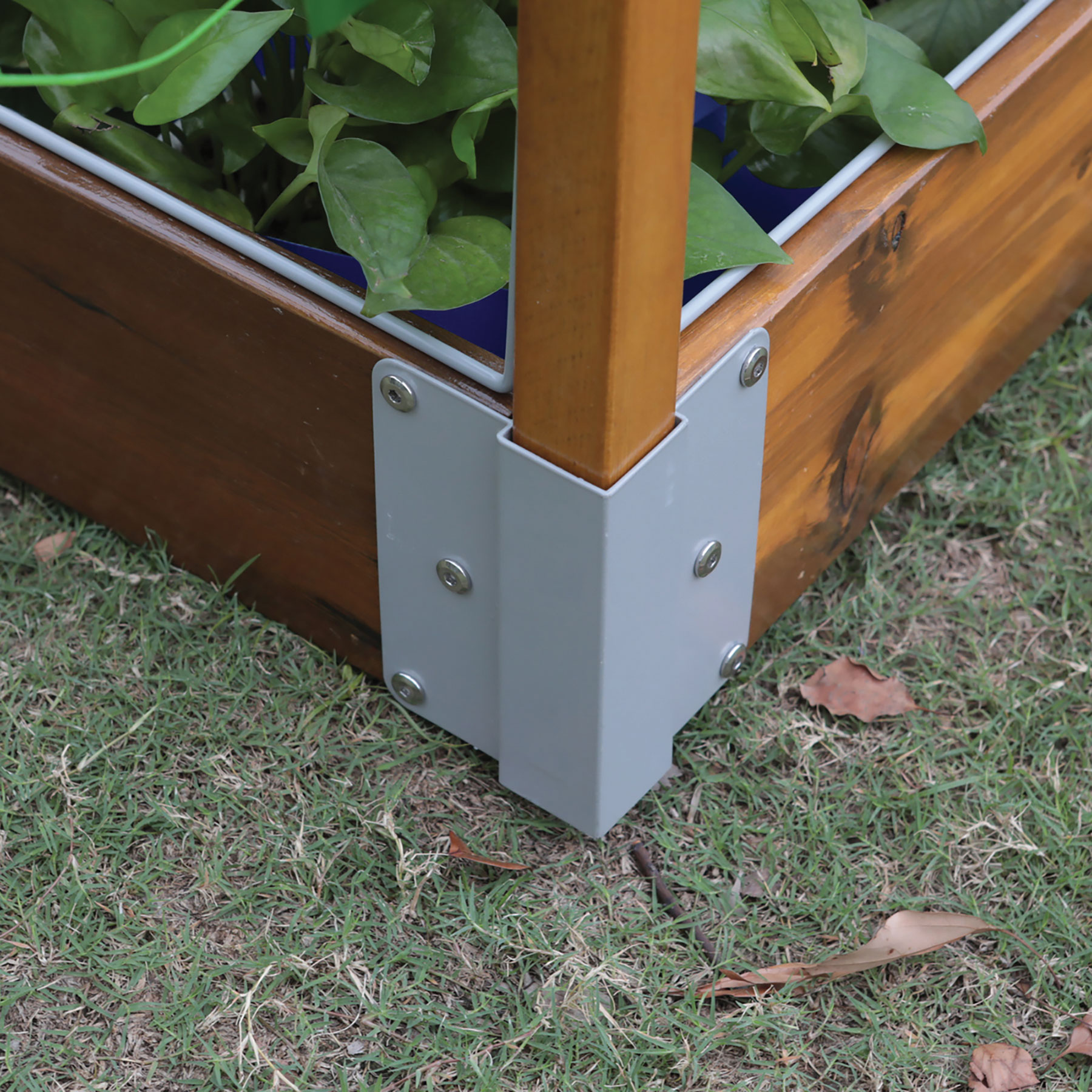 Little Garden Discovery Zone | theClassroom.co