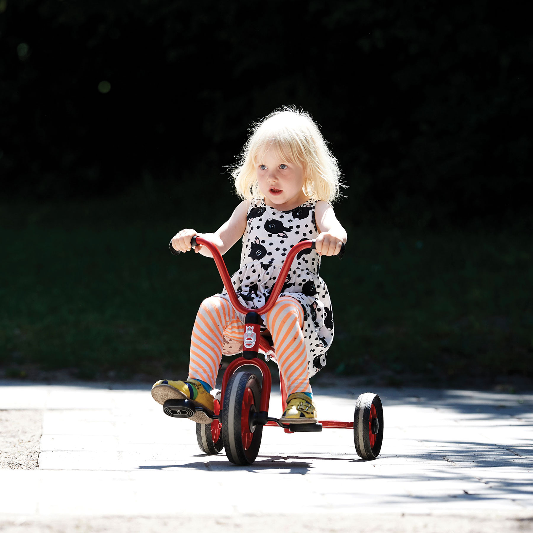 Winther Viking Mini Children's Tricycle + Plate | theClassroom.co